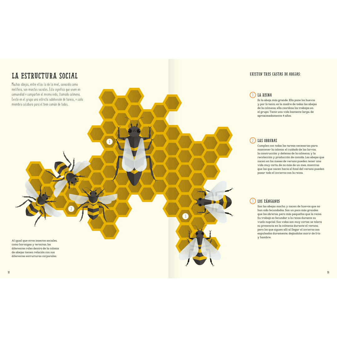 El mundo de las abejas – Amanuta